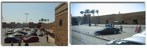 Rabat Parking SA, Société de Développement Local